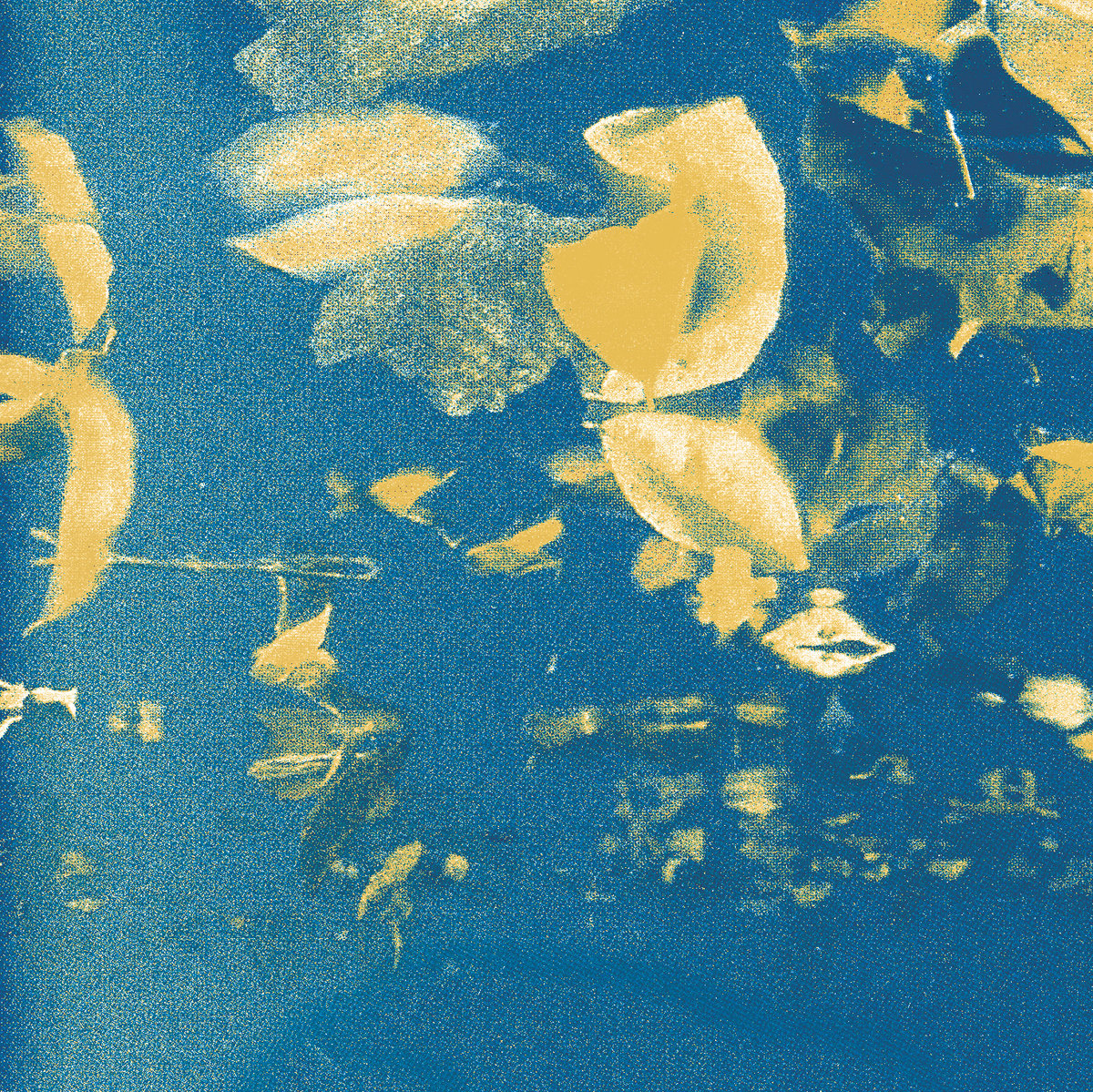 Johan Lindvall – Two trios | esoteros